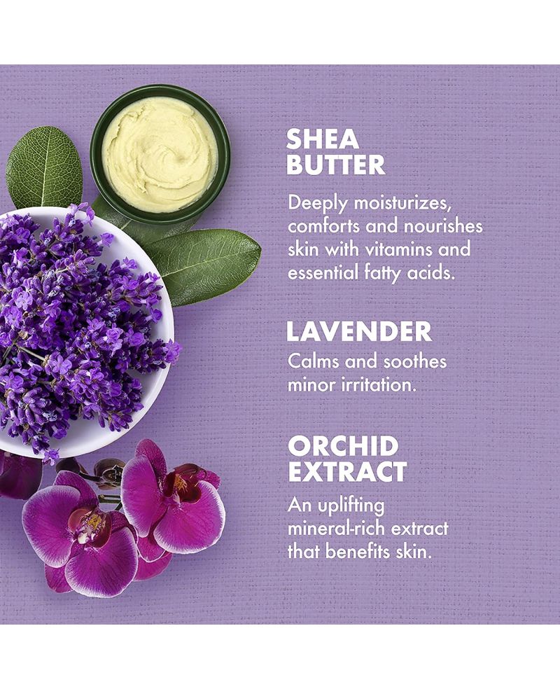 Shea Moisture Lavender & Wild Orchid Body Lotion 384ml